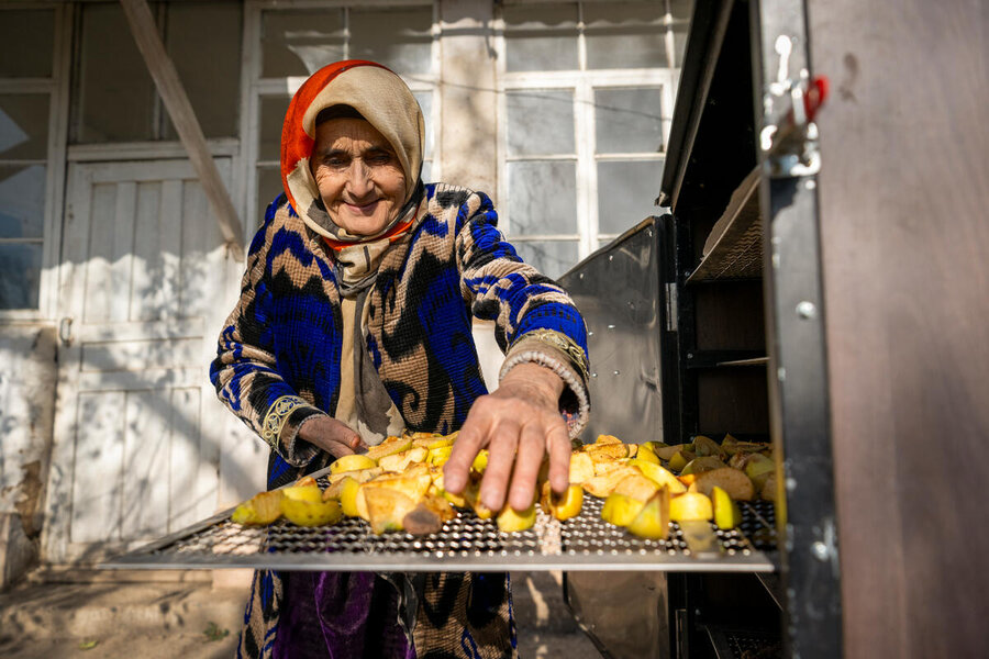 Green thumbs in the greenhouse as climate change buffets Tajikistan | World Food Programme